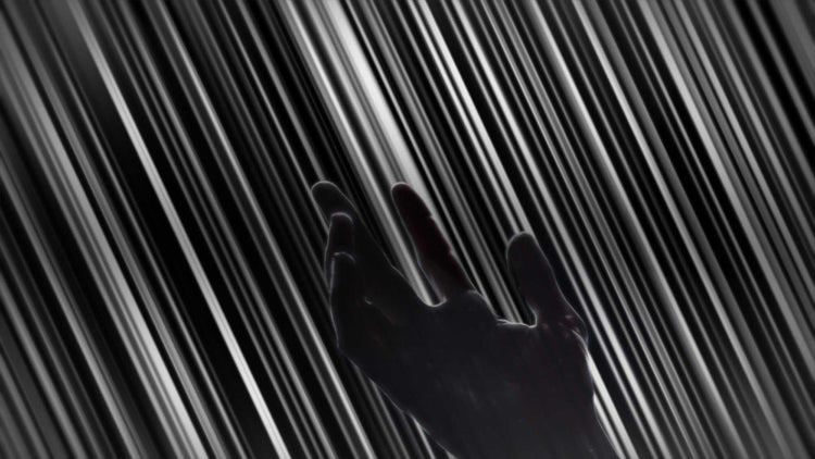 Void & Vista – VOID & VISTA